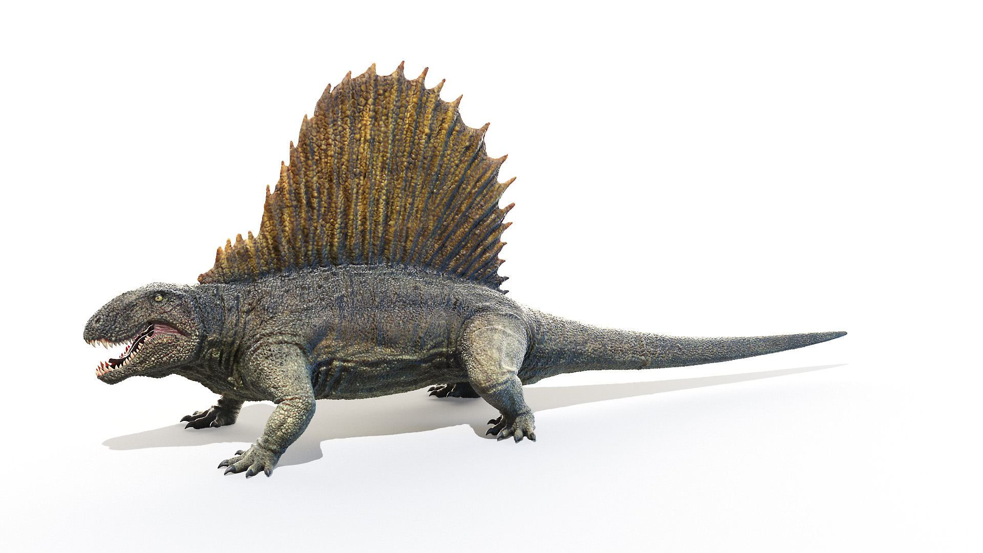 Dimetrodon 3D Model - TurboSquid 1647601