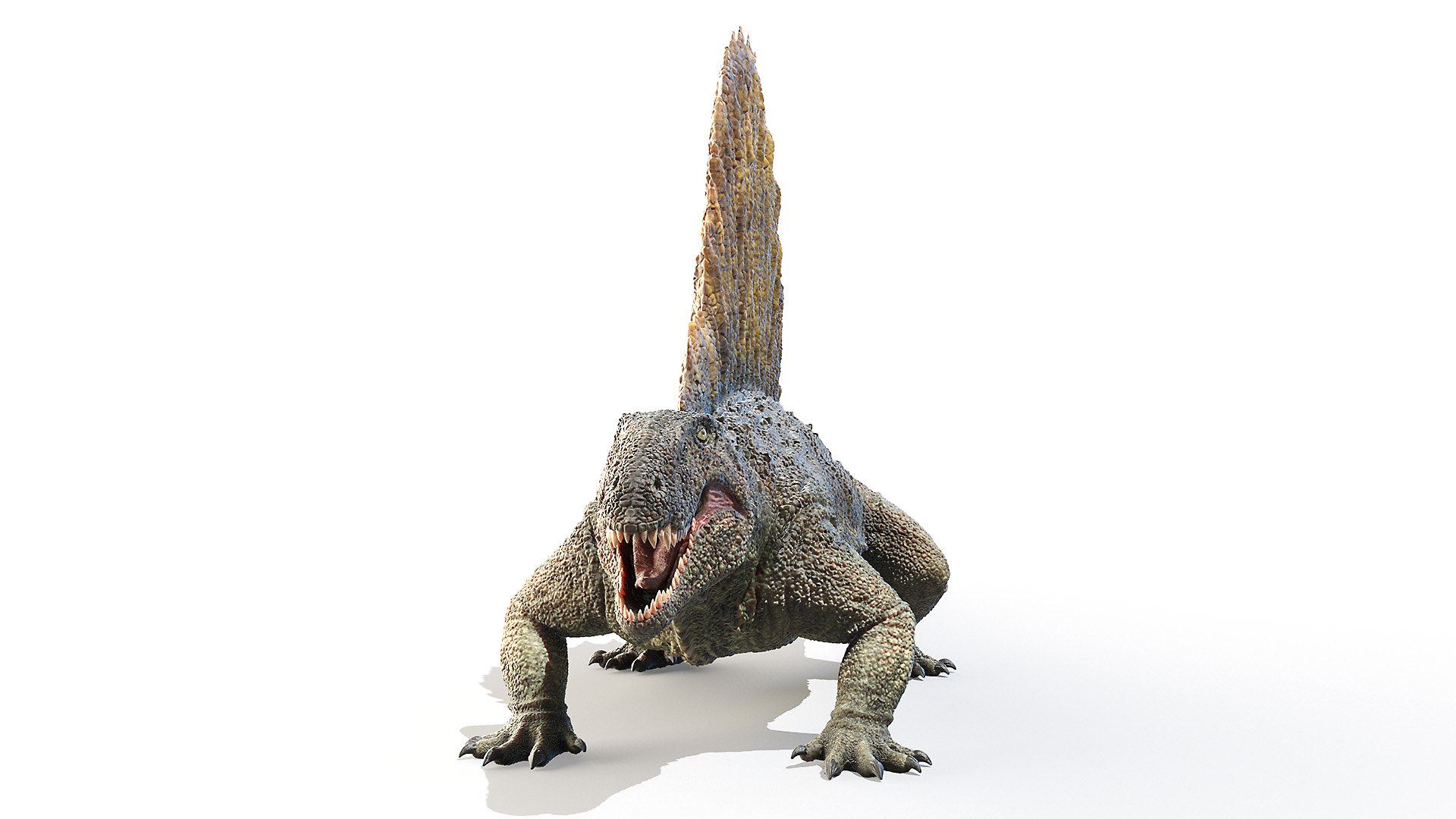 Dimetrodon 3D Model - TurboSquid 1647601