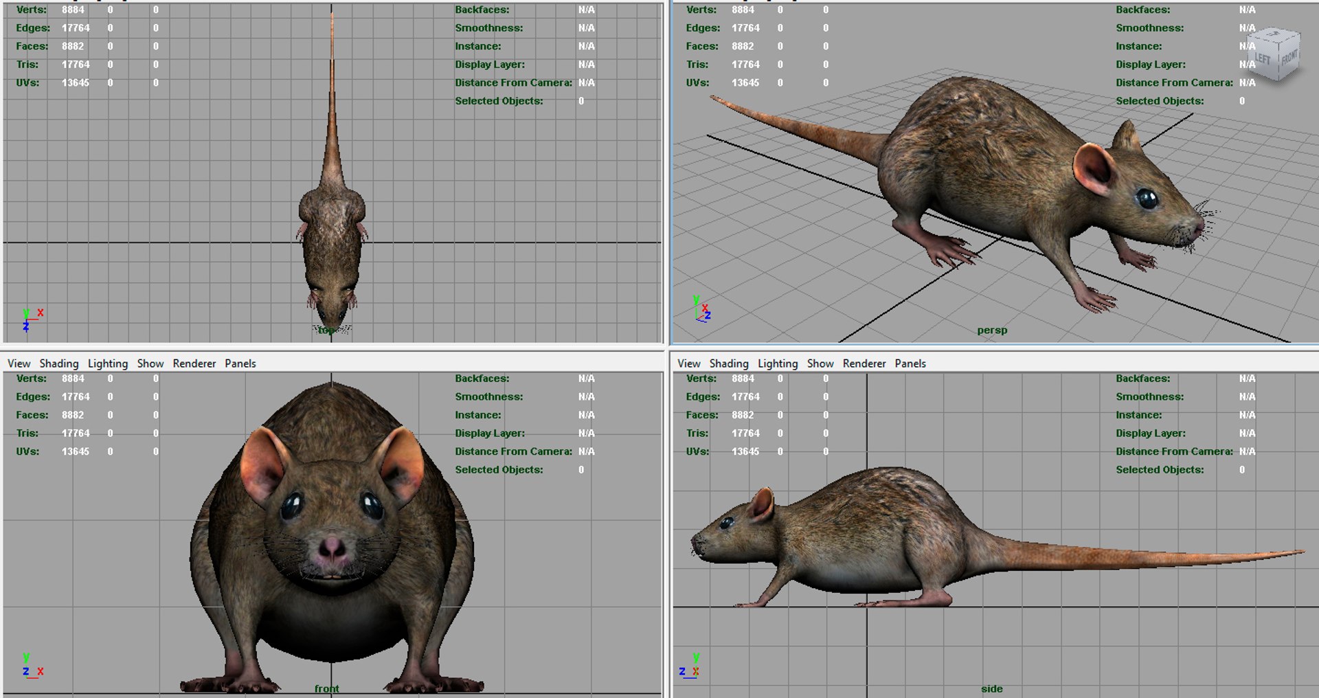 3D Realistic Rat Model - TurboSquid 1301671