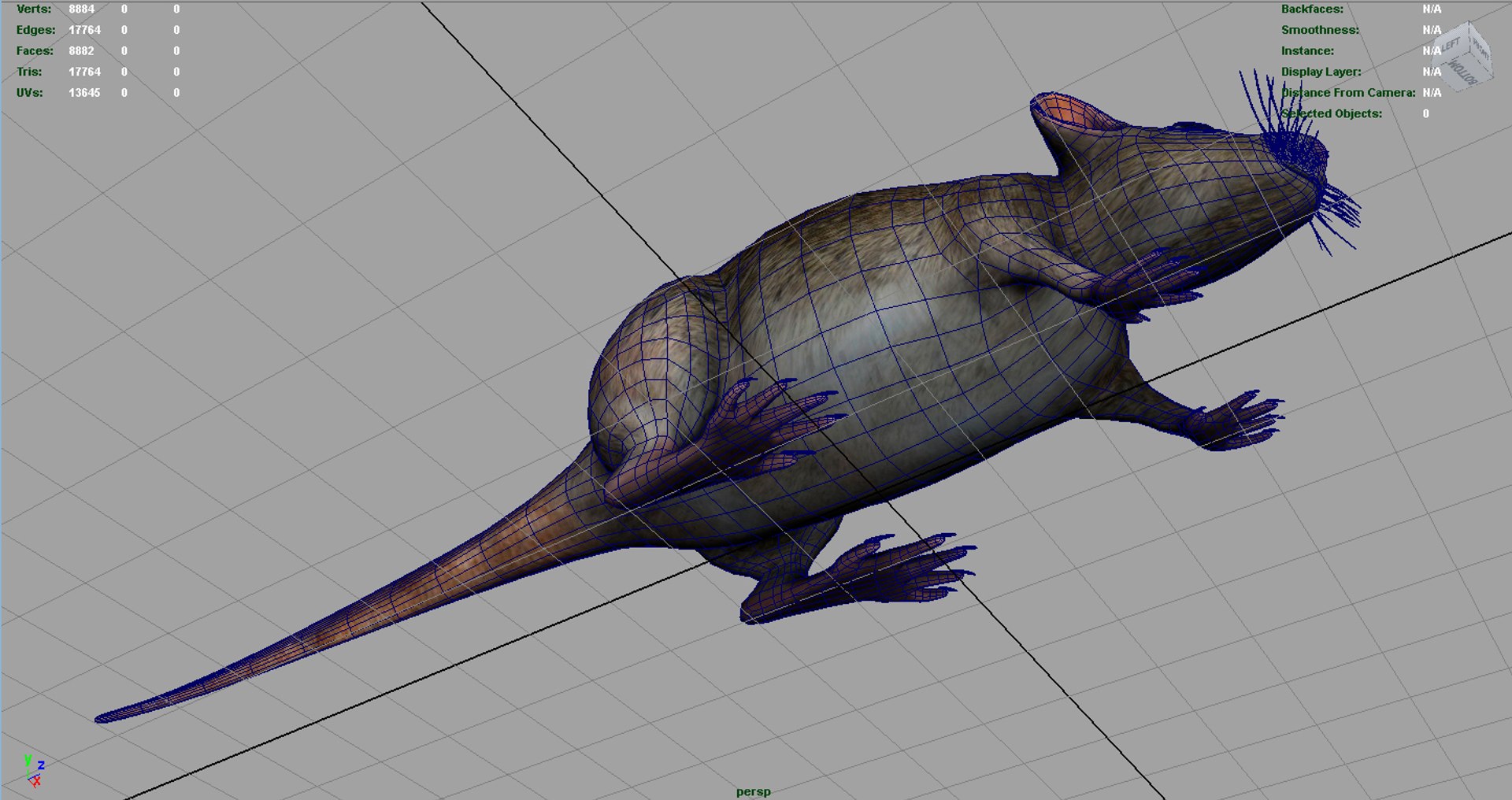 3D Realistic Rat Model - TurboSquid 1301671