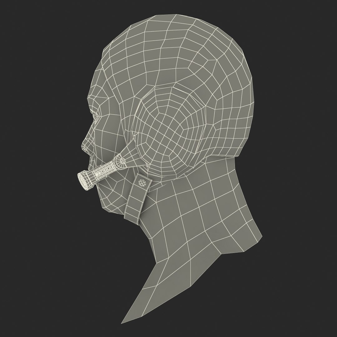 3d chinese pilot head