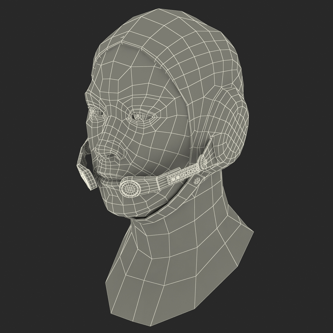 3d Chinese Pilot Head