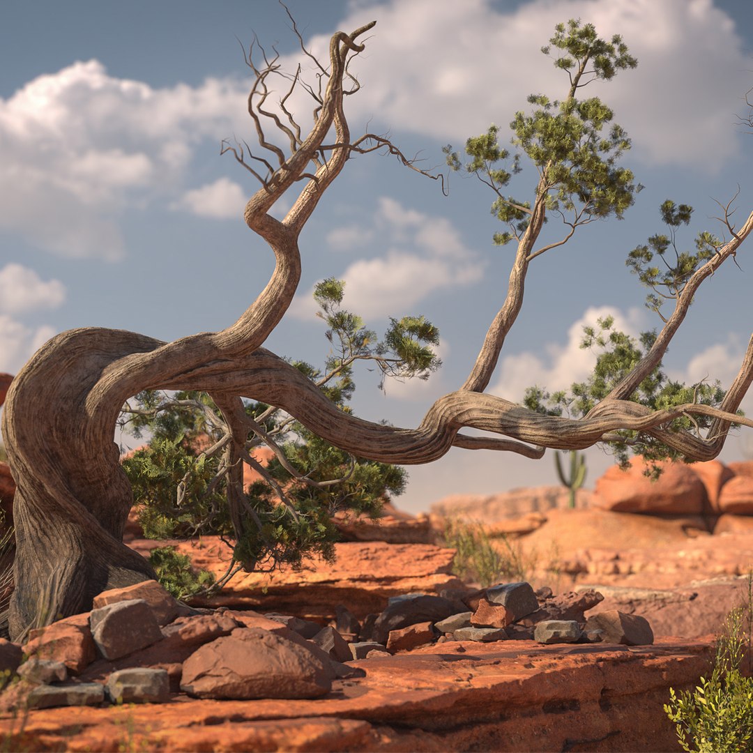 Juniper Tree 3D - TurboSquid 1929793