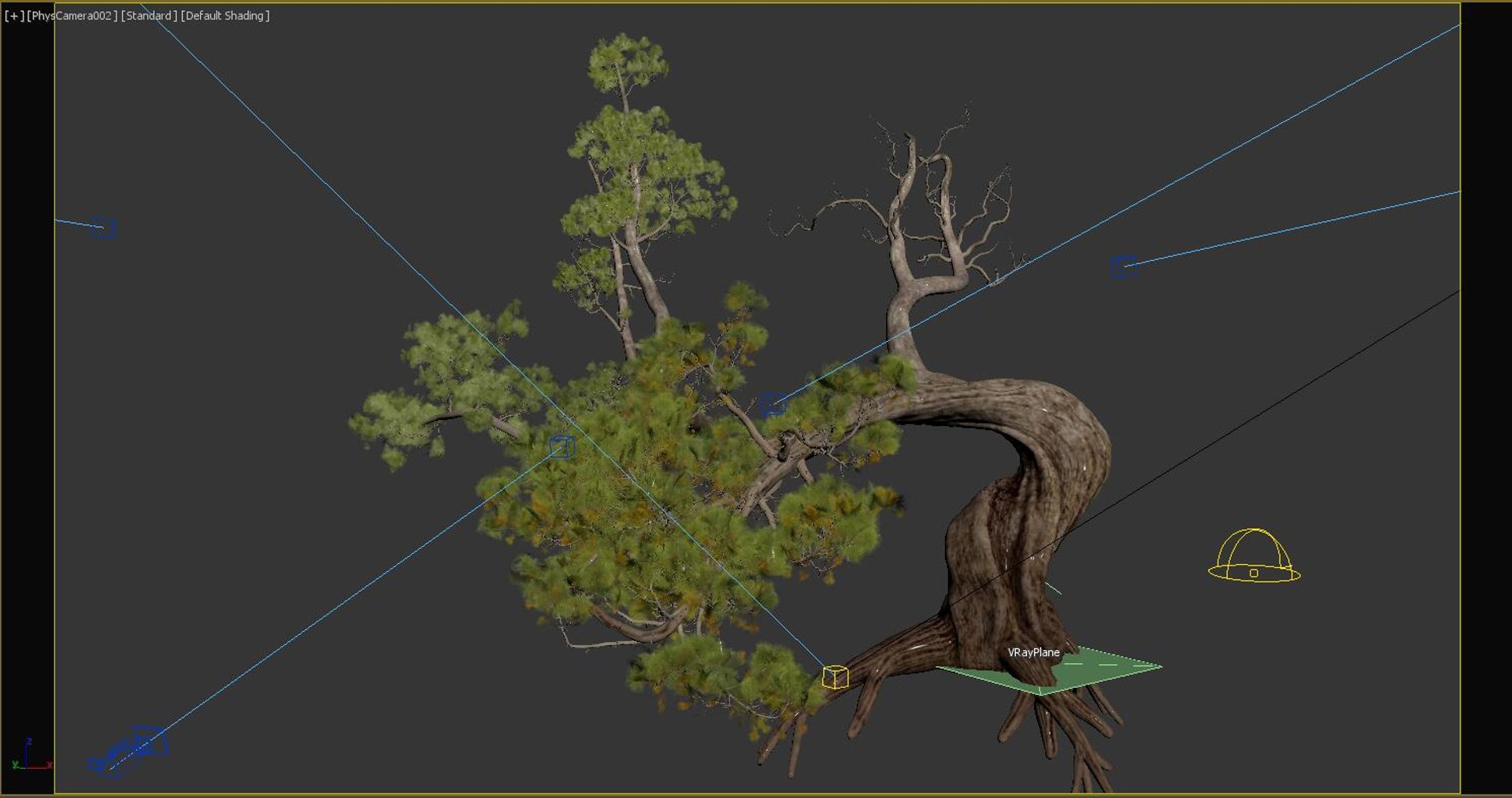 Juniper Tree 3D - TurboSquid 1929793