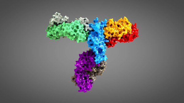 structure bacterial ribosome 3d model