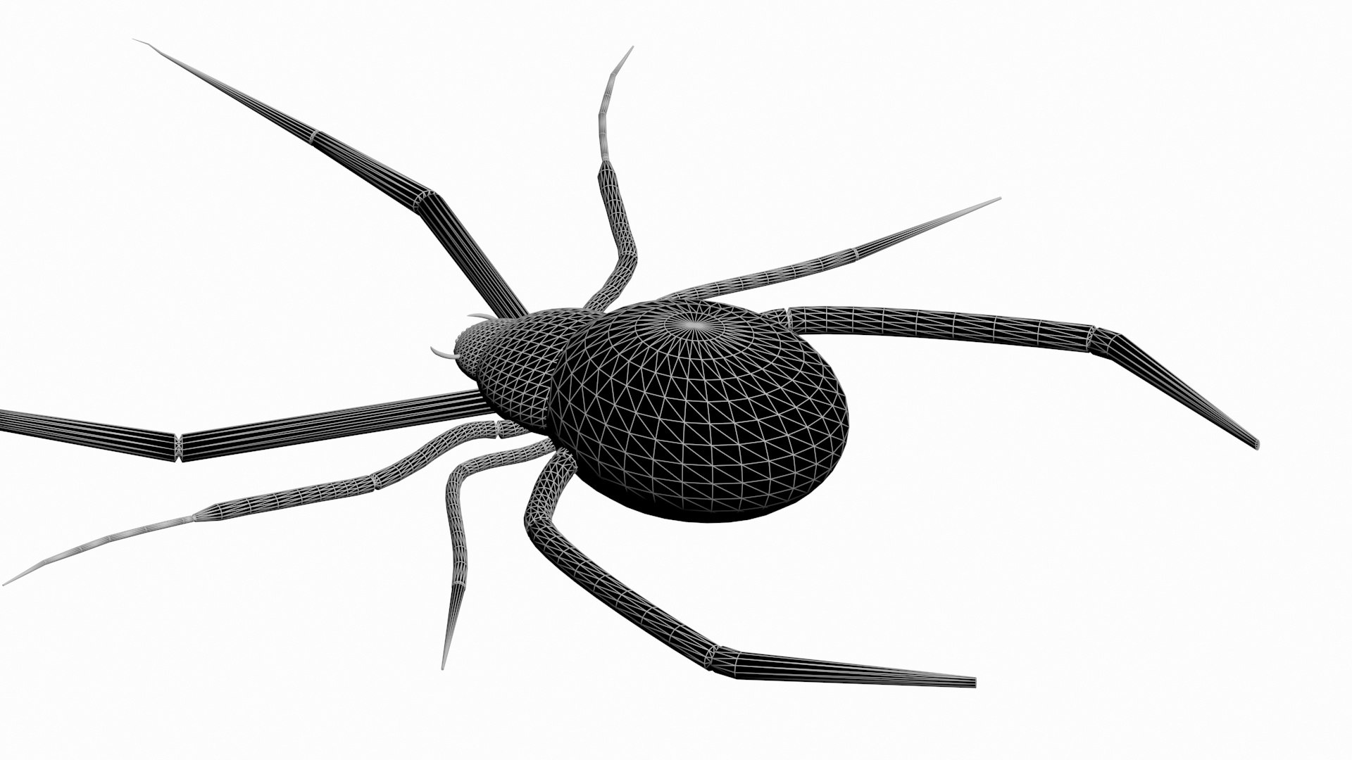 Redback Spider Model - TurboSquid 1926893