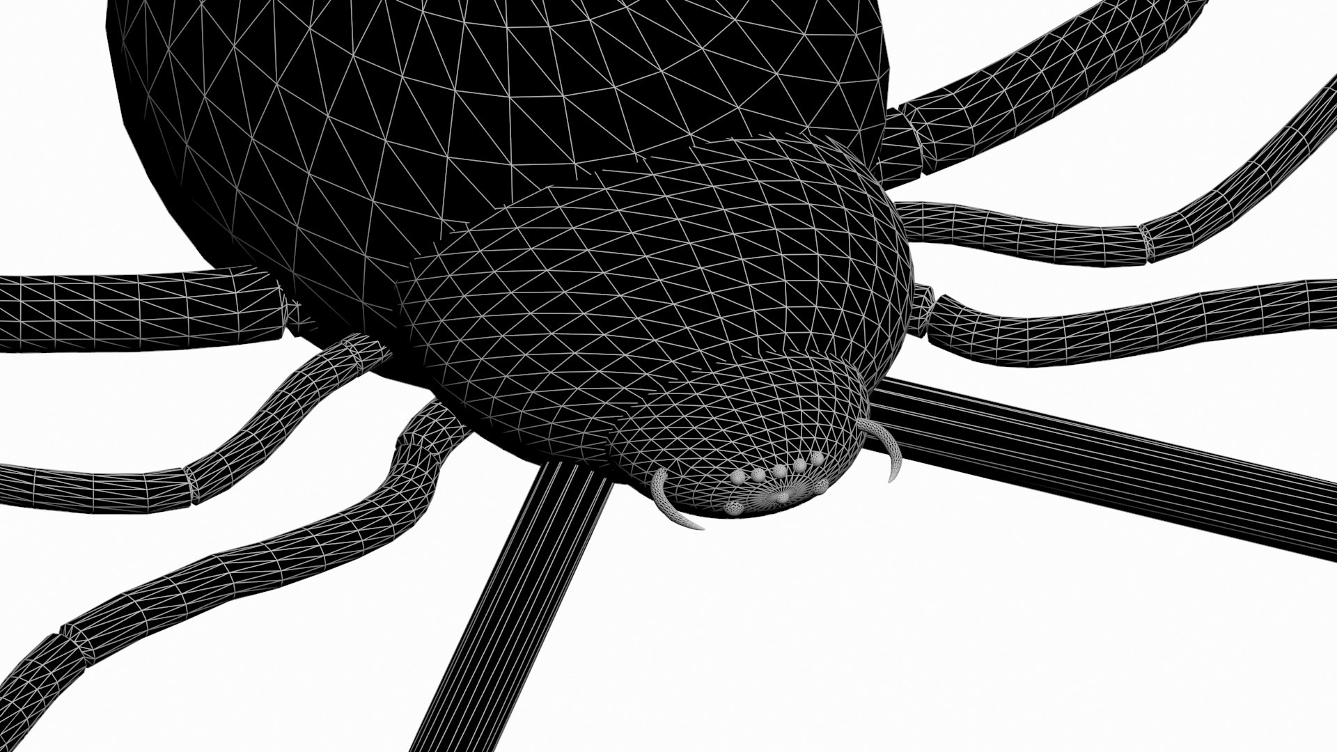 Redback Spider Model - TurboSquid 1926893