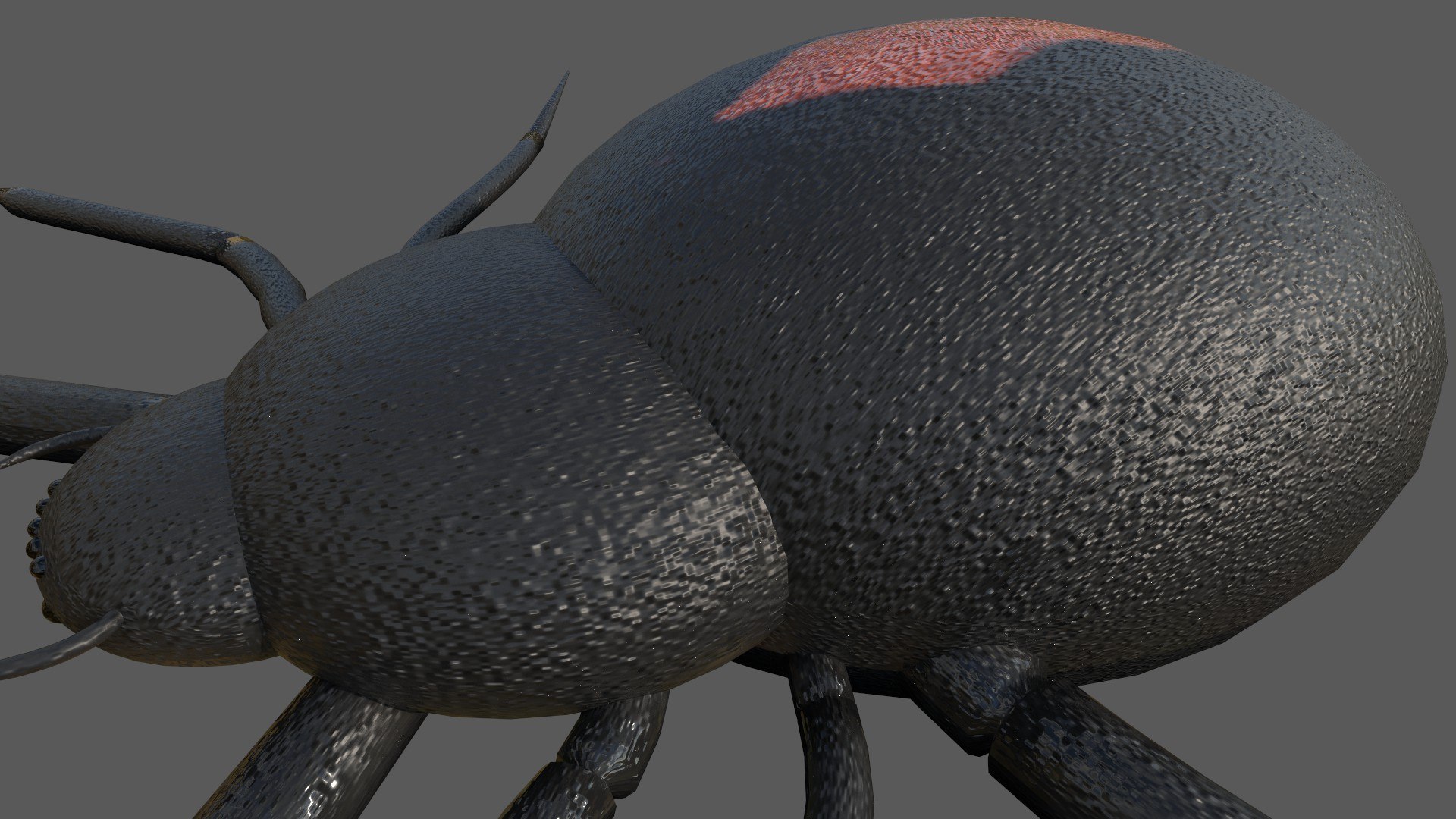 Redback Spider Model - TurboSquid 1926893