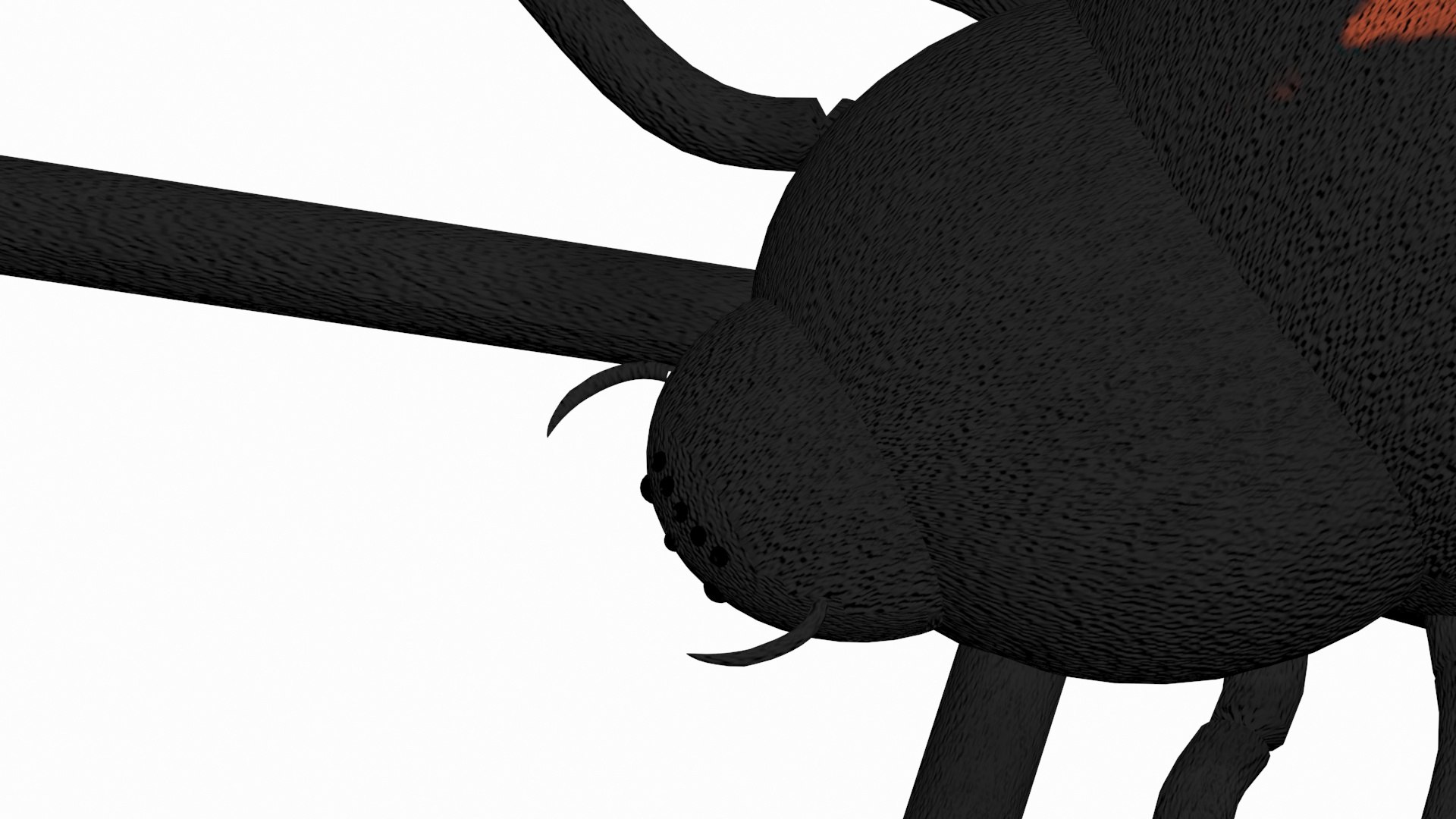 Redback Spider Model - TurboSquid 1926893