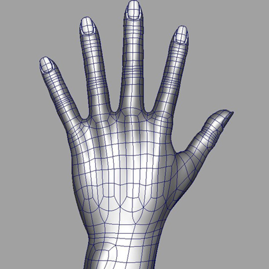 Female Hand Arm 3d Model