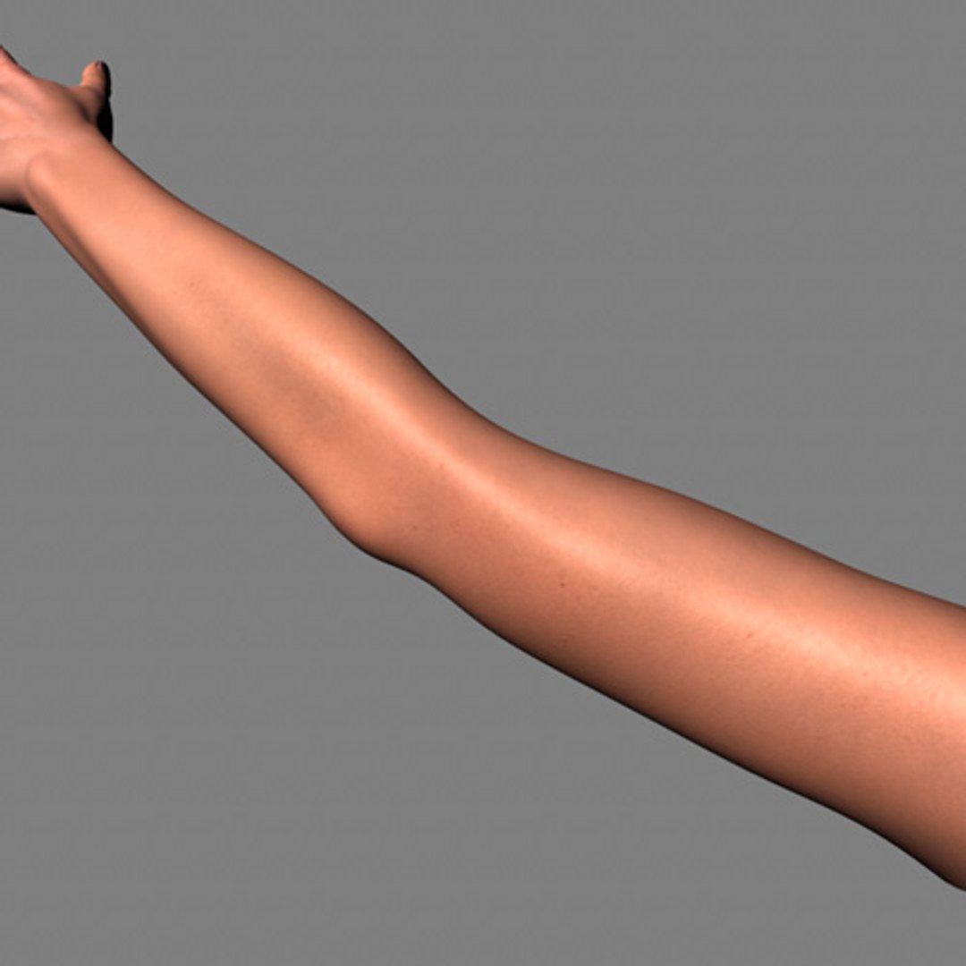 Female Hand Arm 3d Model
