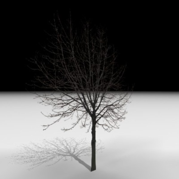 3d model of tree j3d