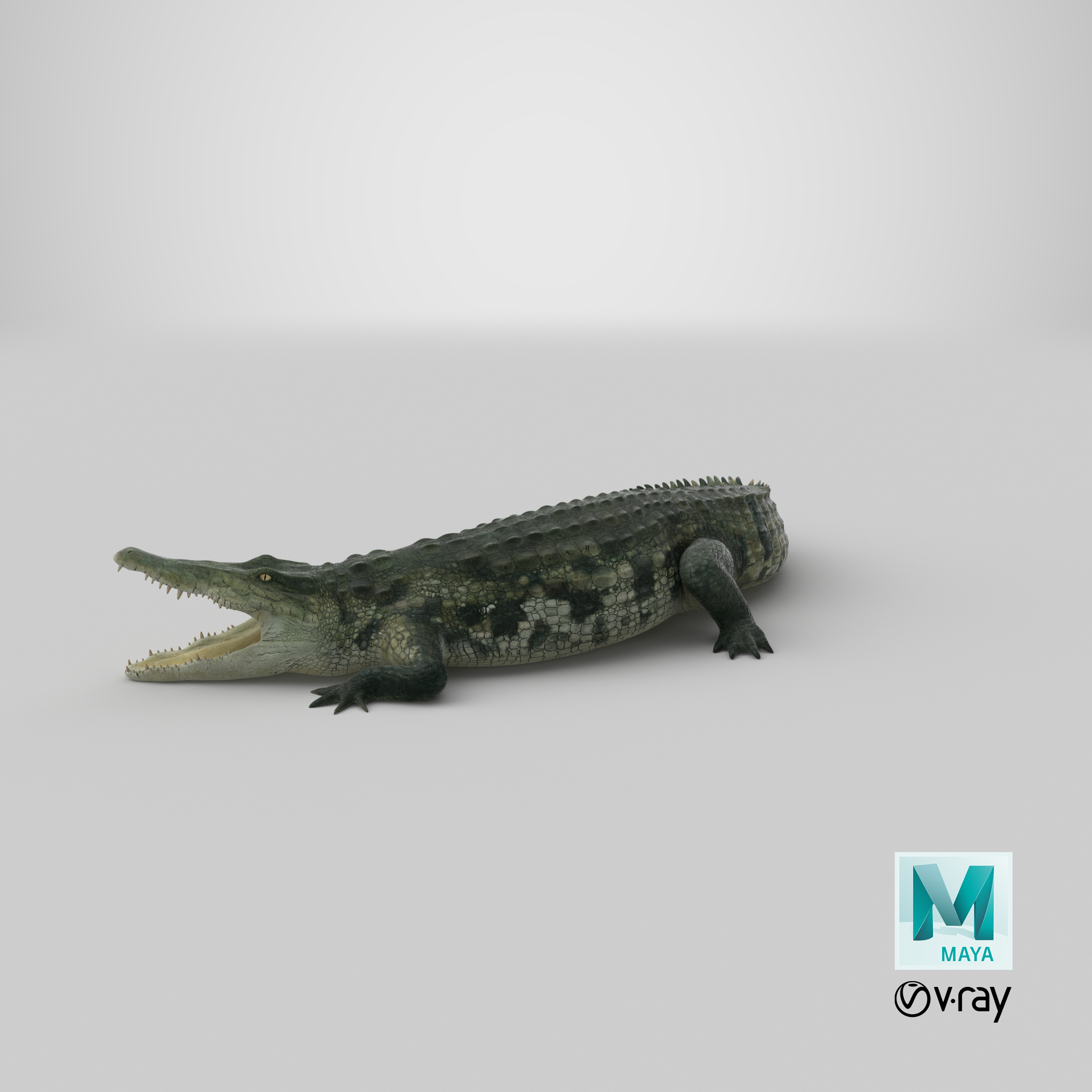 crocodile attacks pose 2 3d model