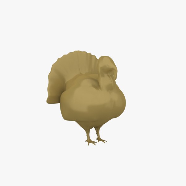 3D Turkey Models | TurboSquid