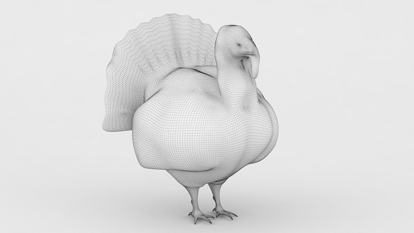Turkey 3D model - TurboSquid 1789170