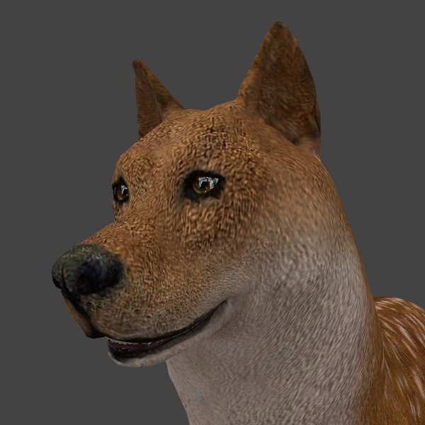 Rigged Dog Maya Models for Download | TurboSquid