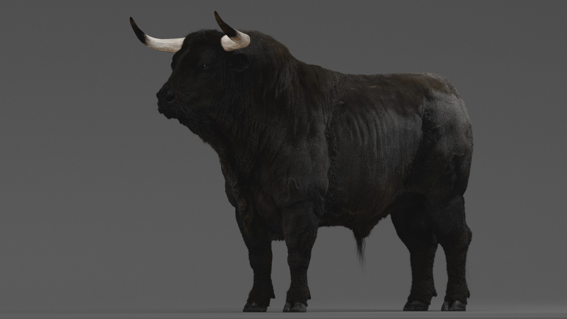 Bull ANIMATED Model - TurboSquid 1808371