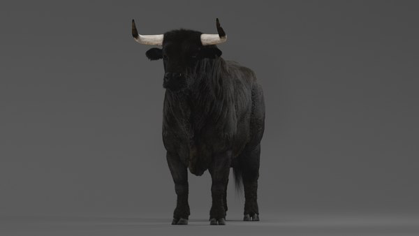 Stier animiert 3D-Modell - TurboSquid 1808371