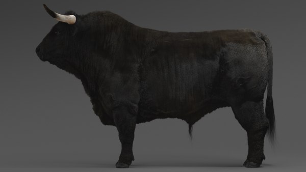 modelo 3d Toro ANIMADO - TurboSquid 1808371