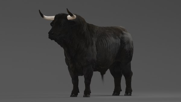 modelo 3d Toro ANIMADO - TurboSquid 1808371