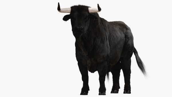 modelo 3d Toro ANIMADO - TurboSquid 1808371