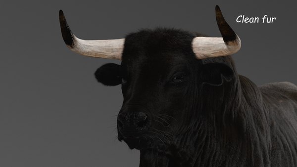 modelo 3d Toro ANIMADO - TurboSquid 1808371