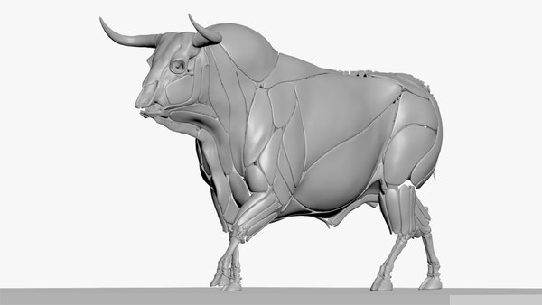 Stier animiert 3D-Modell - TurboSquid 1808371