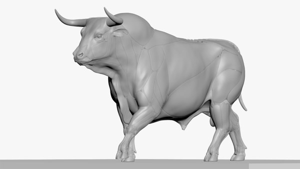 modelo 3d Toro ANIMADO - TurboSquid 1808371