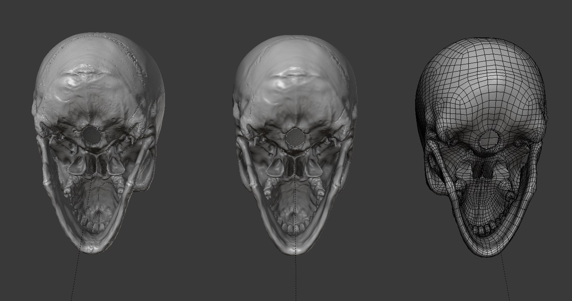 3D Accurate Human Skull Model - TurboSquid 1176027