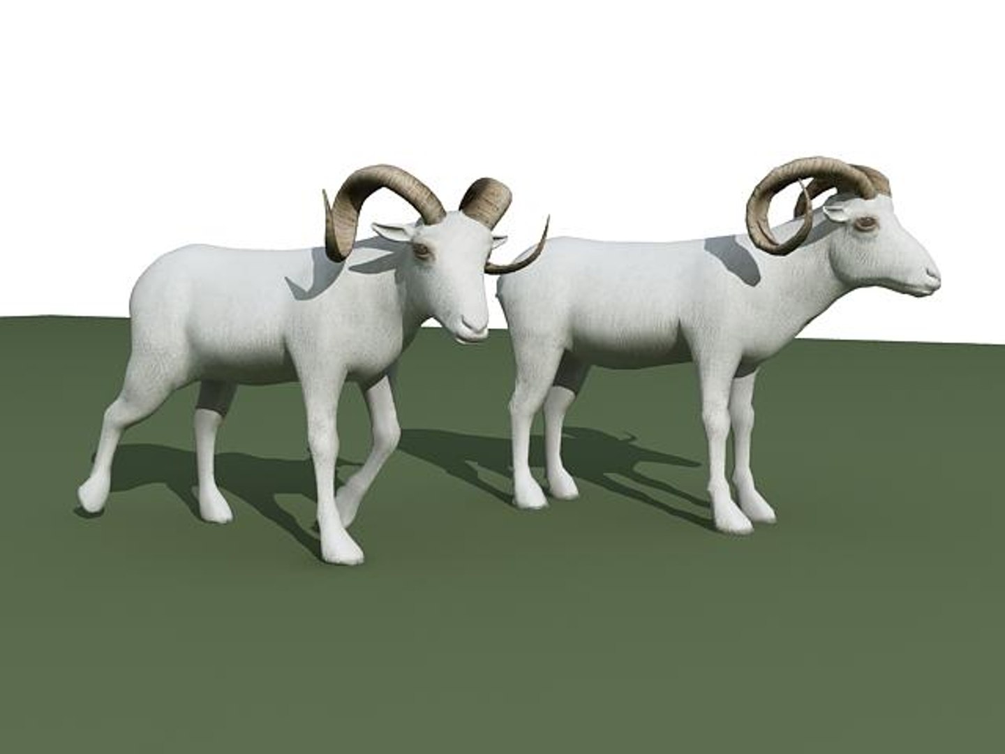 Dall Sheep 3ds