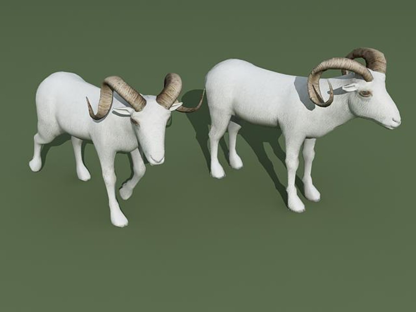 Dall Sheep 3ds