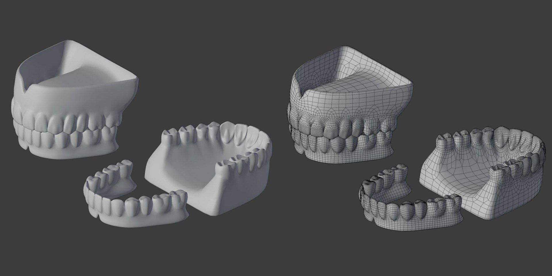 Human Teeth 3D Model - TurboSquid 1693137