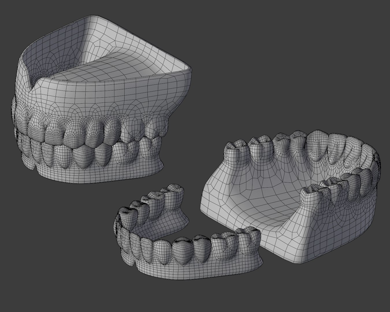 Human Teeth 3D Model - TurboSquid 1693137