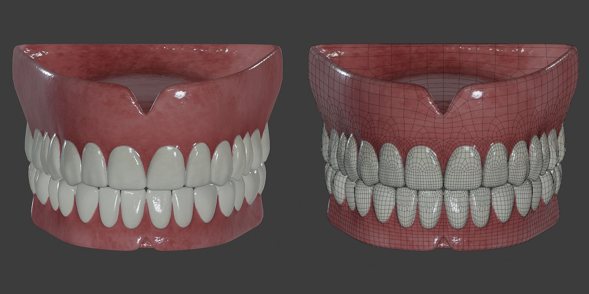 Human Teeth 3D Model - TurboSquid 1693137