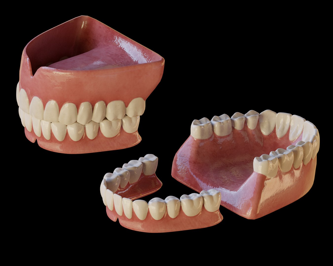 Human Teeth 3D Model - TurboSquid 1693137