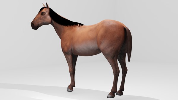 Horse model - TurboSquid 1738340