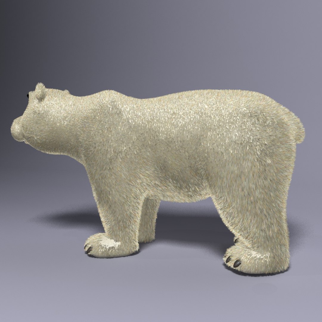 Max Cartoon Bear Rigged