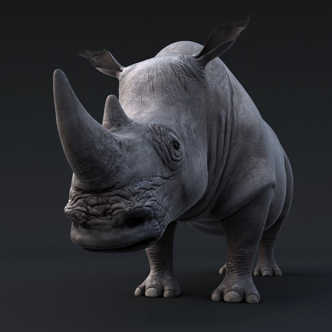 Realistic Rhino Render 3d Max