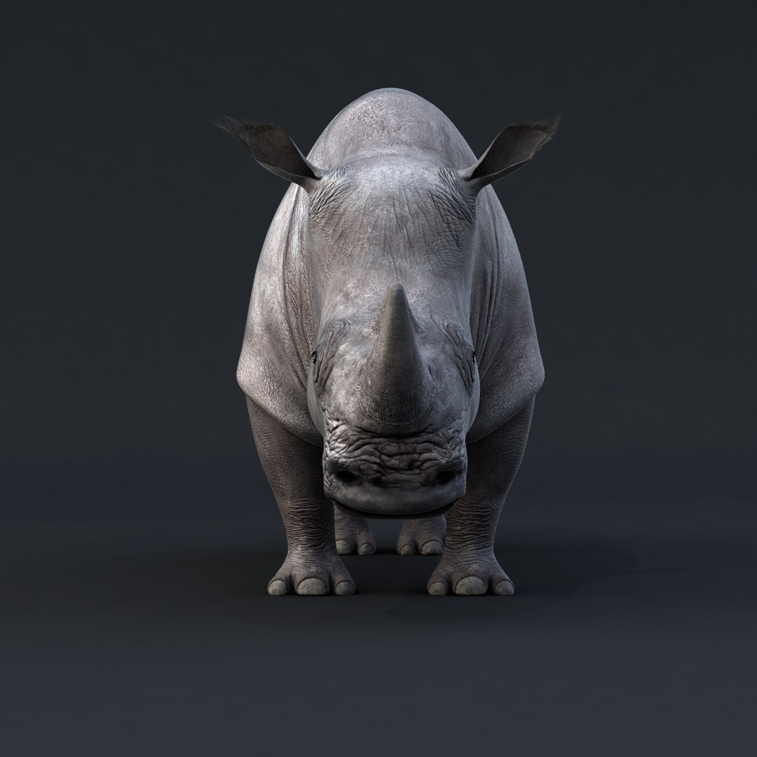 Realistic Rhino Render 3d Max