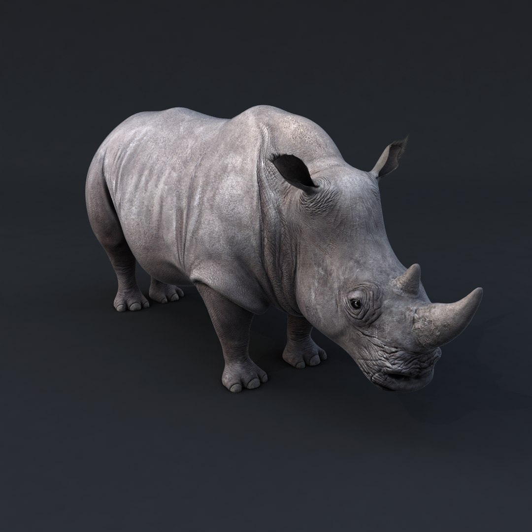 Realistic Rhino Render 3d Max