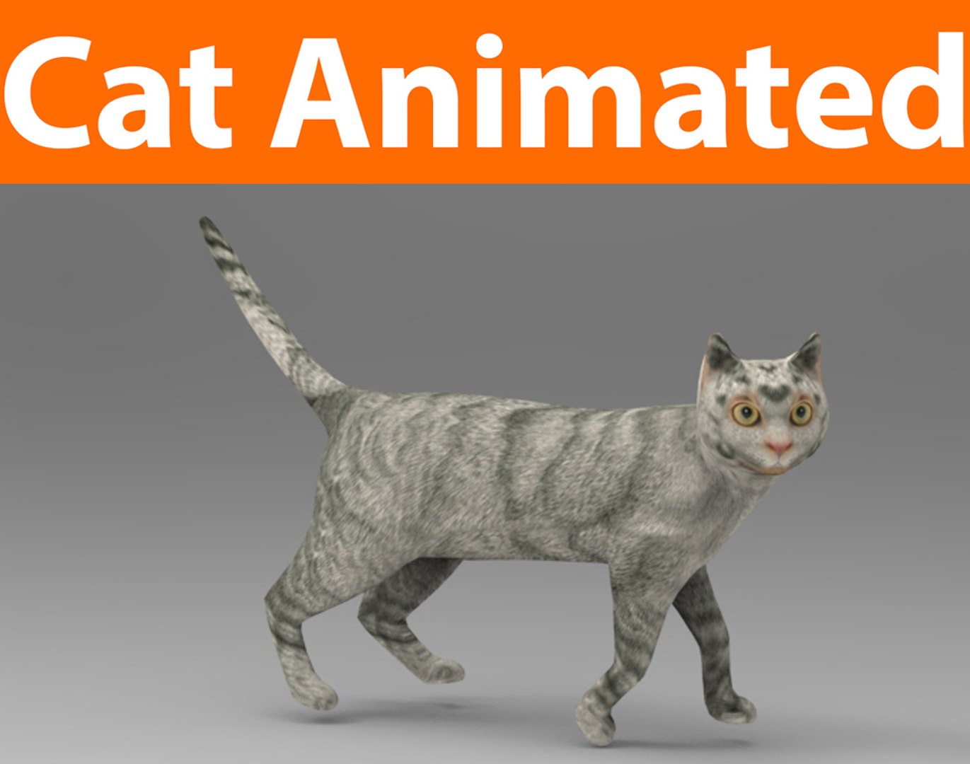 3D cat animations | 1142794 | TurboSquid