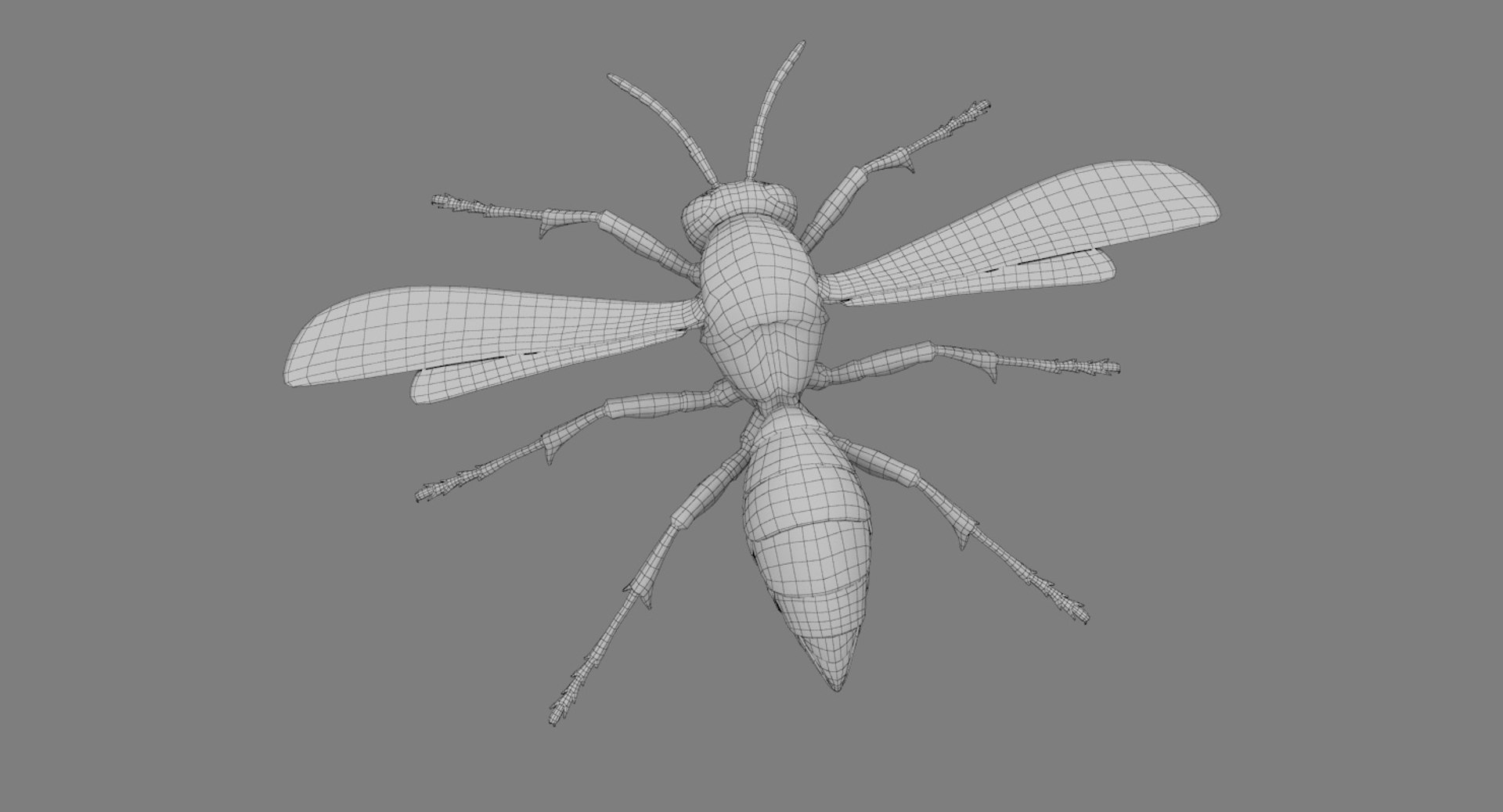 3D Model European Paper Wasp - TurboSquid 1272407