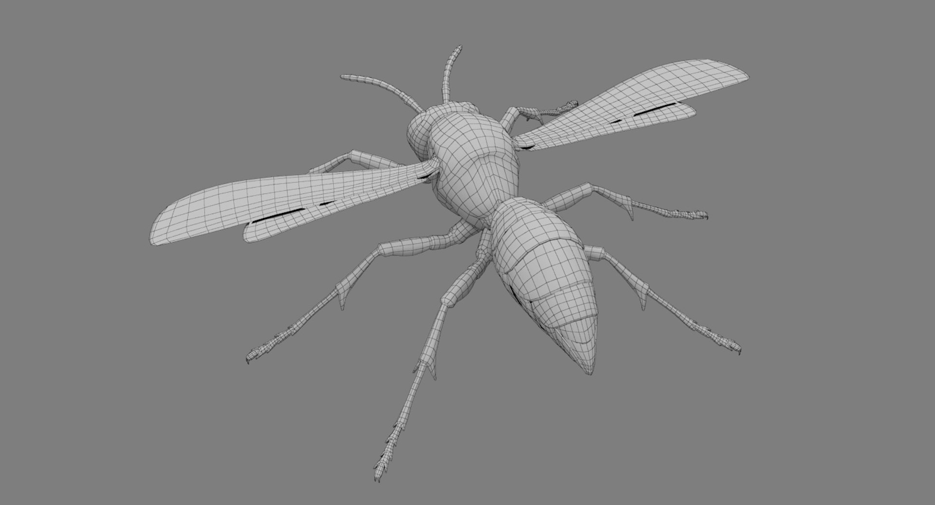 3D Model European Paper Wasp - TurboSquid 1272407