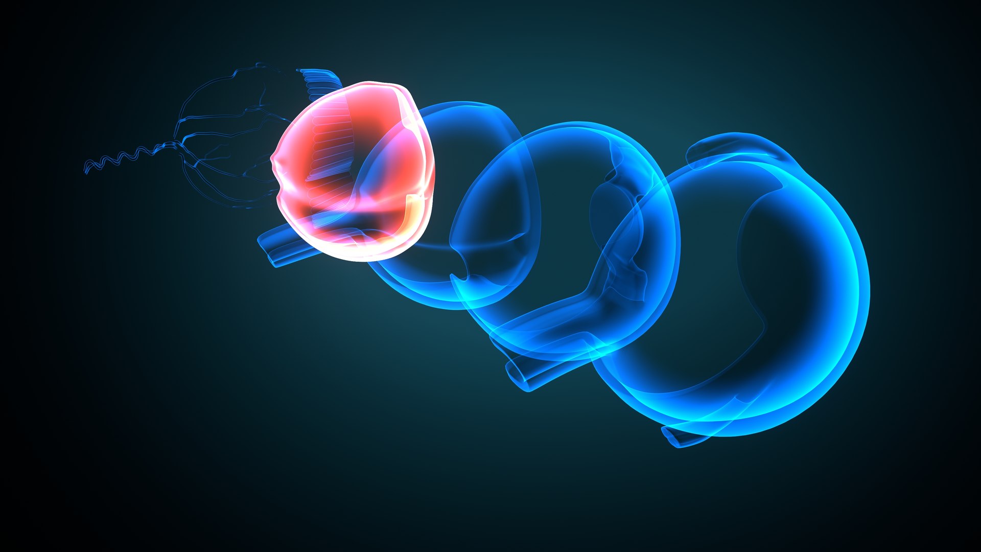 Human eye layers anatomy system 3D - TurboSquid 1786196