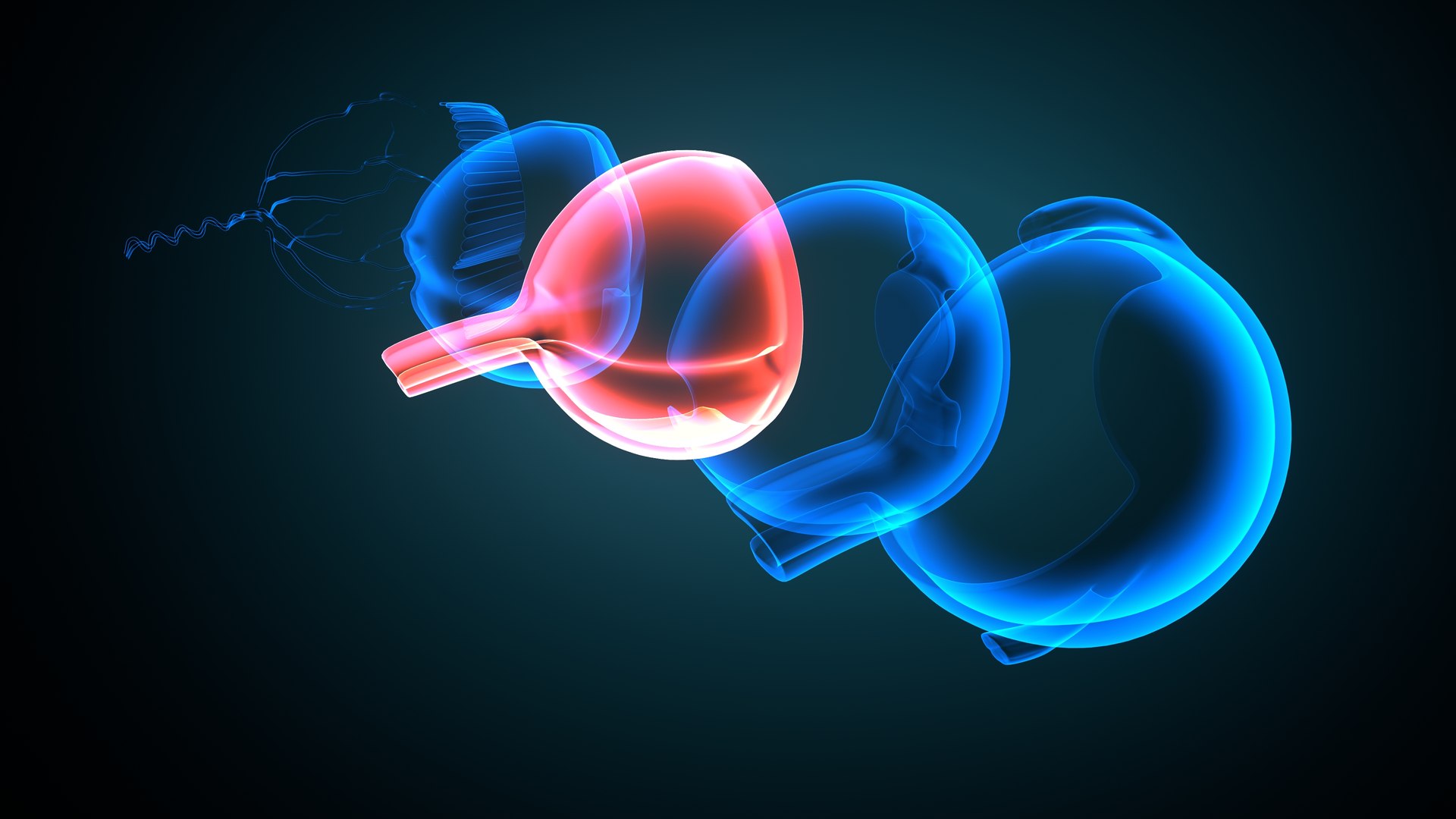 Human eye layers anatomy system 3D - TurboSquid 1786196