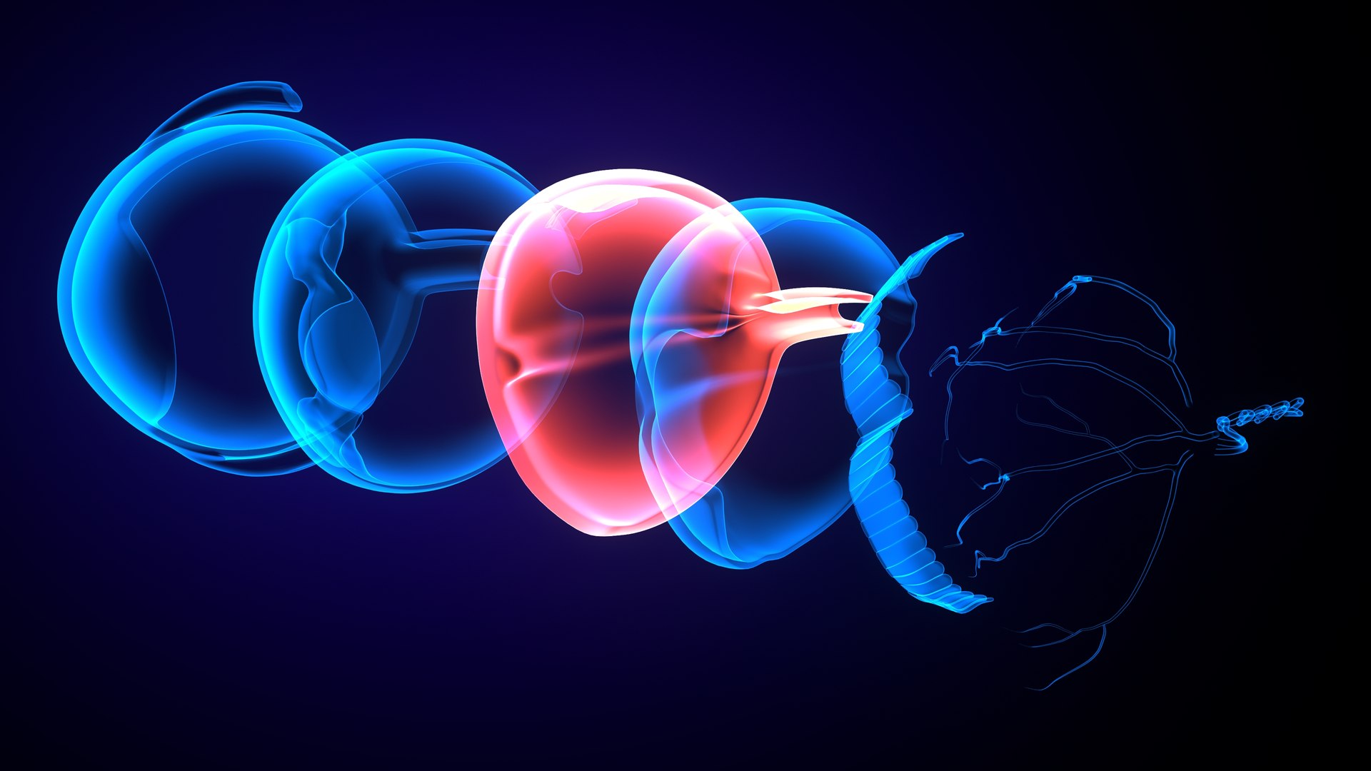 Human eye layers anatomy system 3D - TurboSquid 1786196