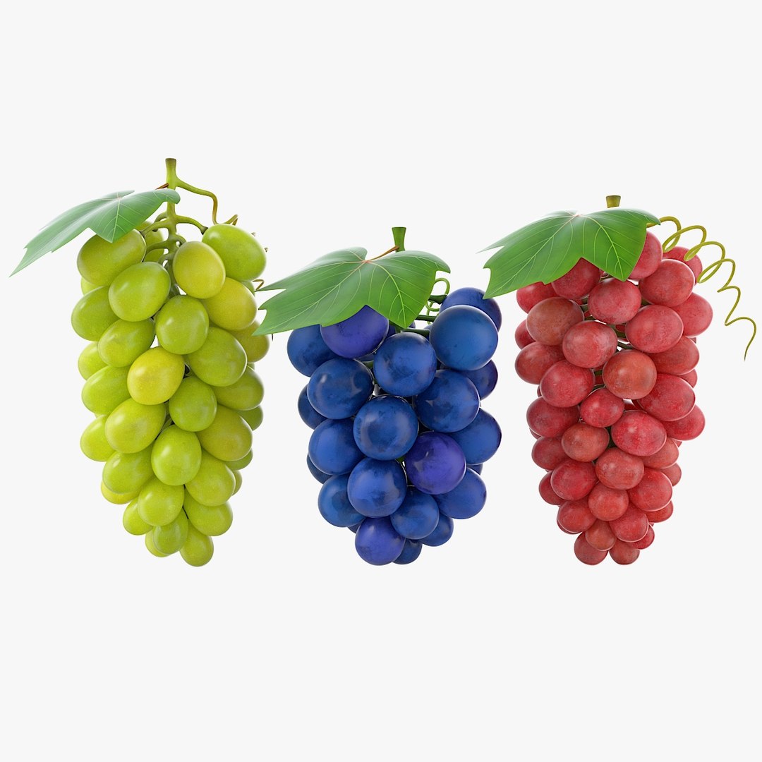 Cartoon Grapes Collection 3D model - TurboSquid 2088863
