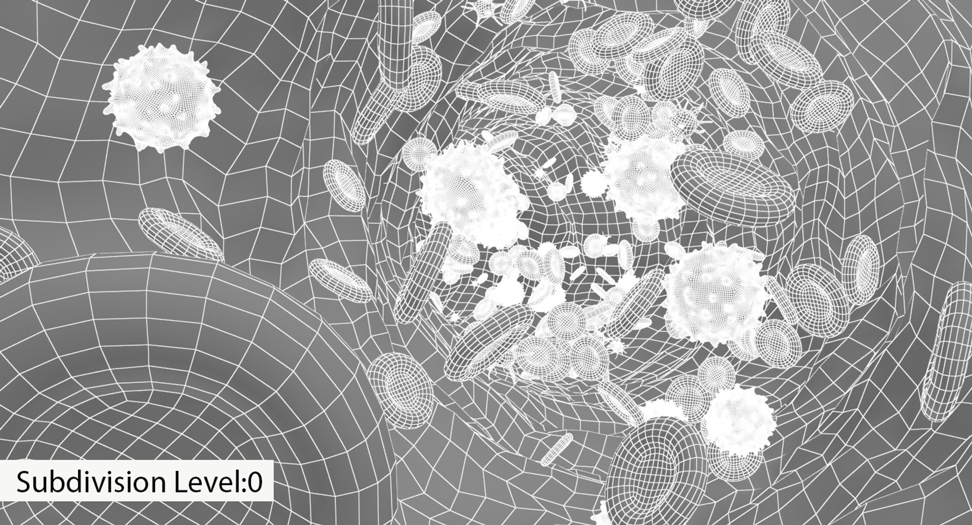 3D Bloodstream Blood Stream - TurboSquid 1319133