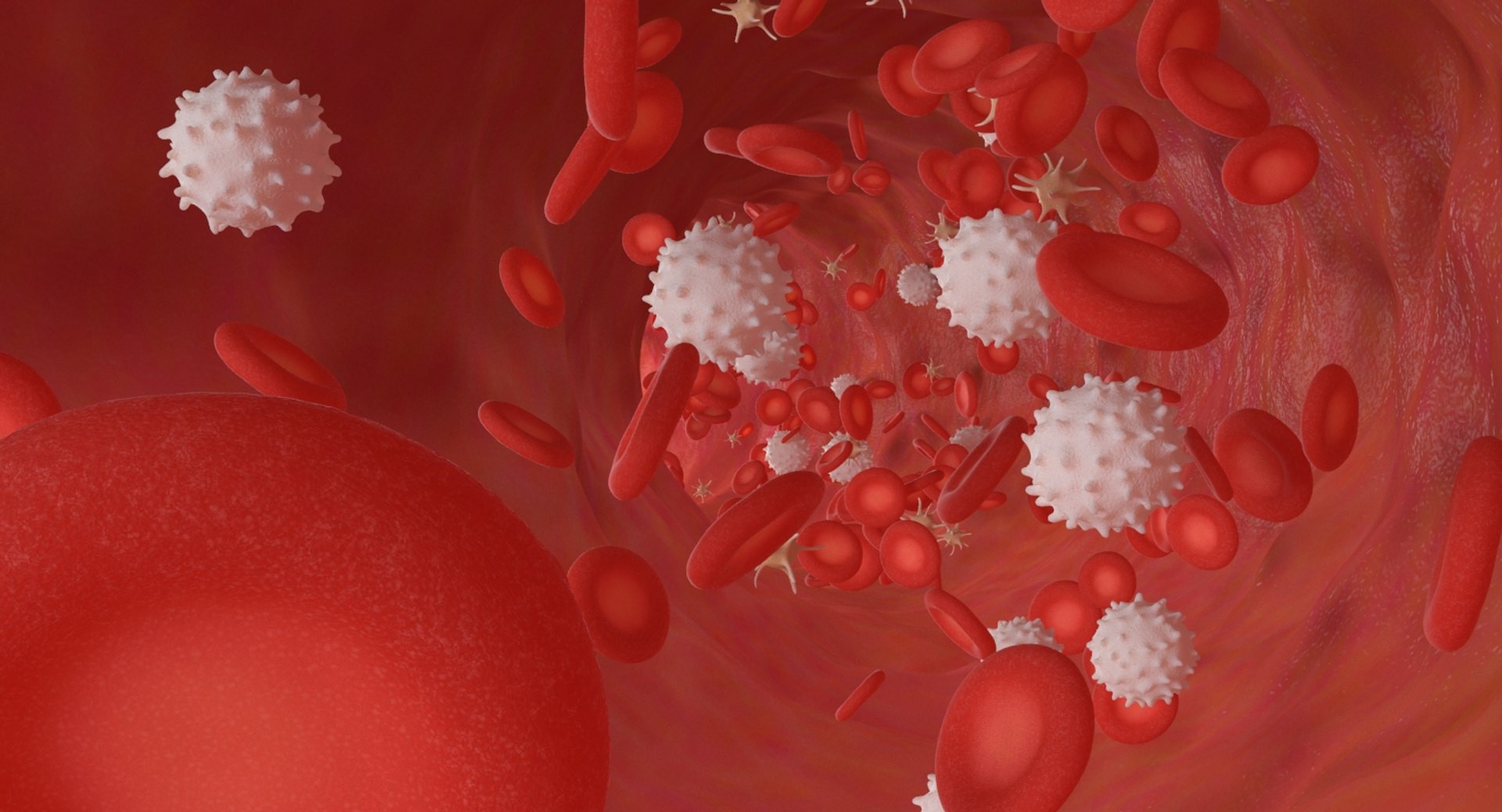 3D Bloodstream Blood Stream - TurboSquid 1319133