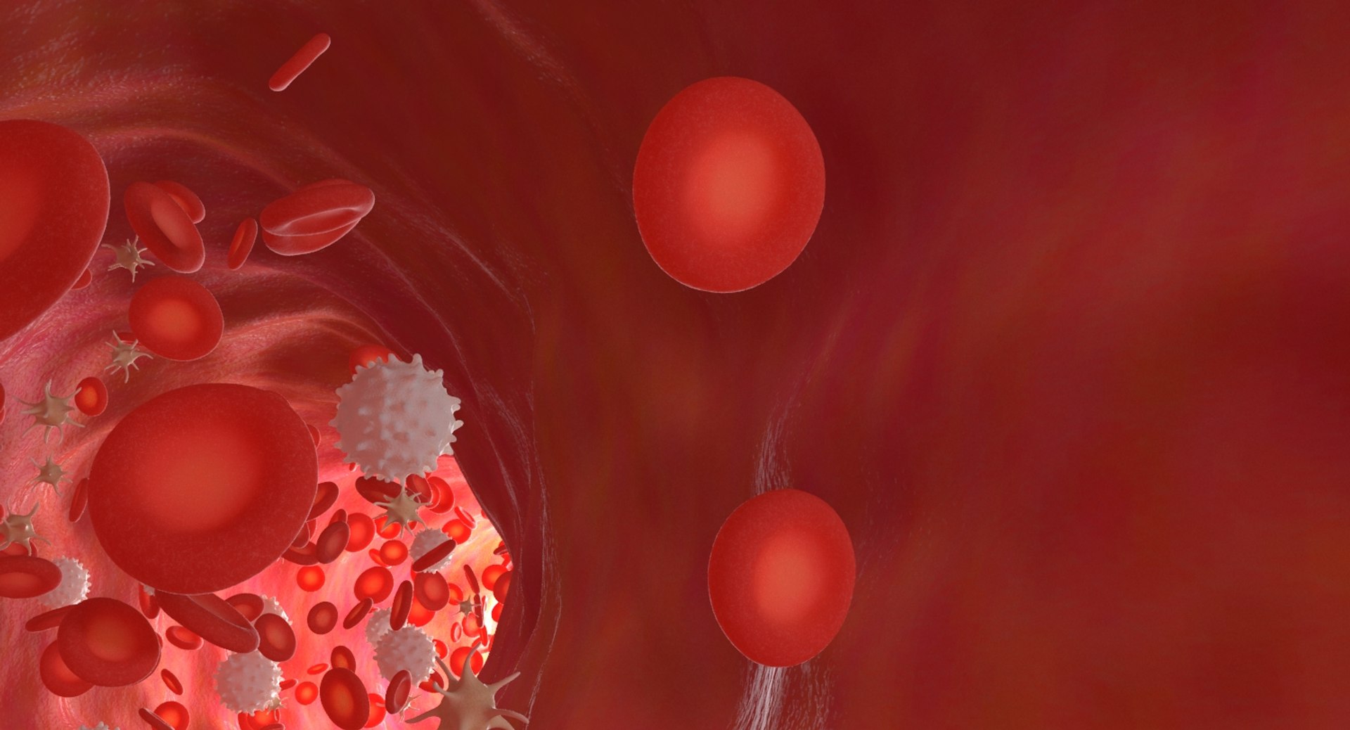 3D Bloodstream Blood Stream - TurboSquid 1319133